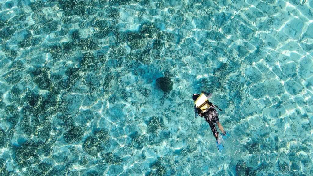 Top Marine Conservation Volunteer Programs 2026 | MRCI