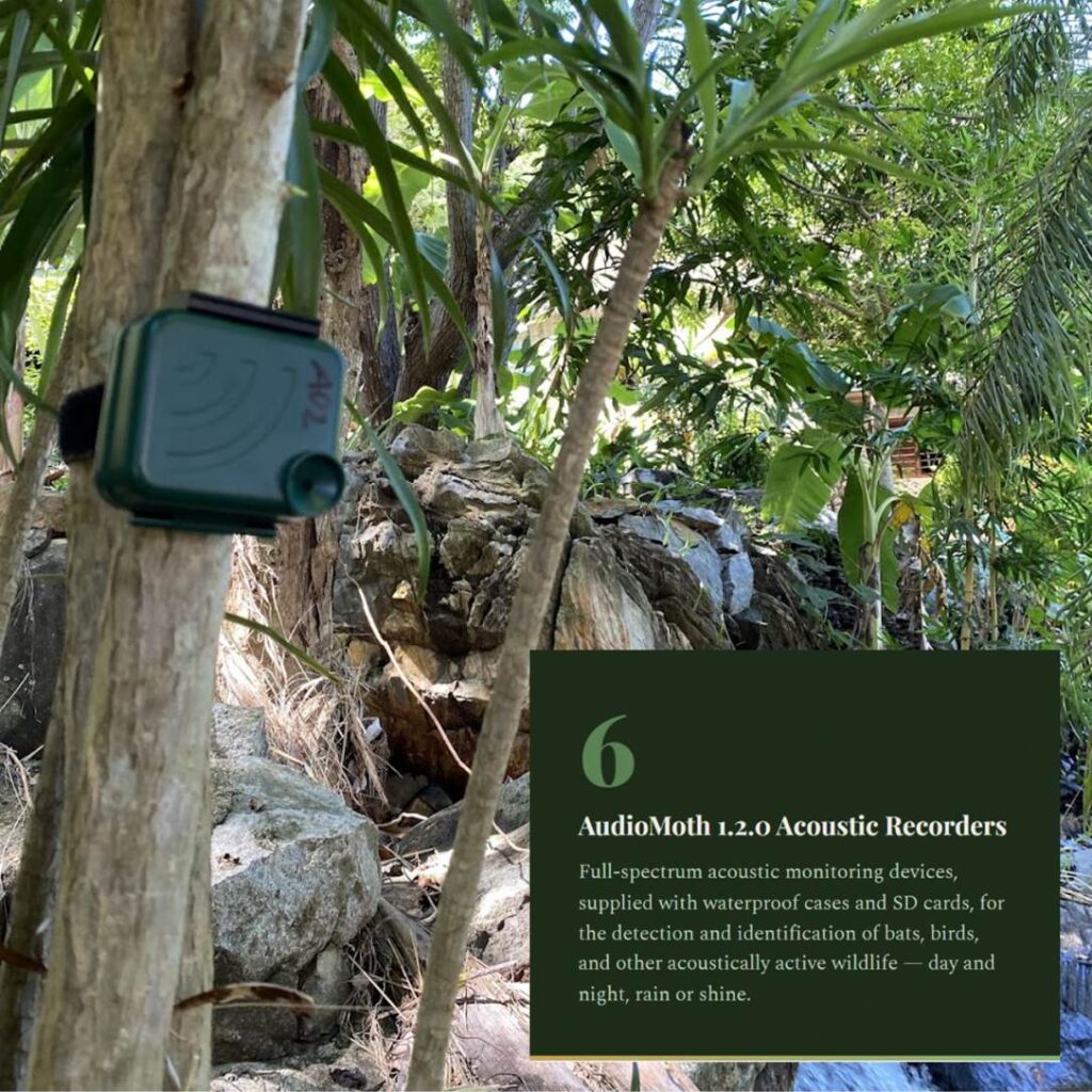 MRCI × NGB-Genetics: A New Partnership for Madagascar's Biodiversity ...